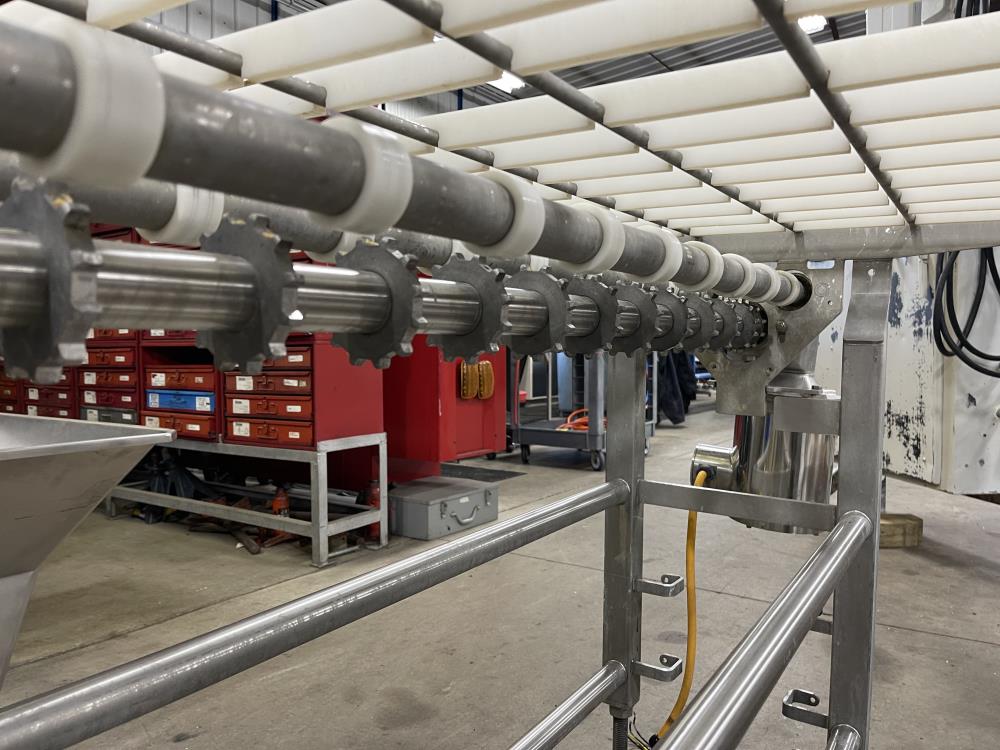 SS Transfer Conveyor