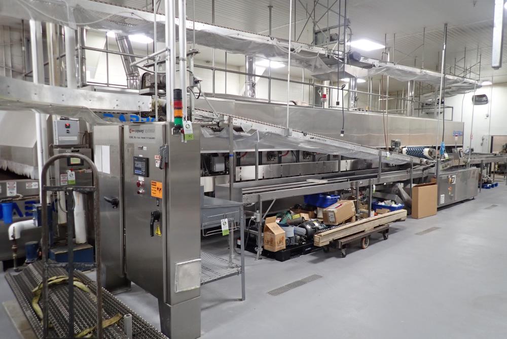 Babbco Direct Fired Tunnel Oven