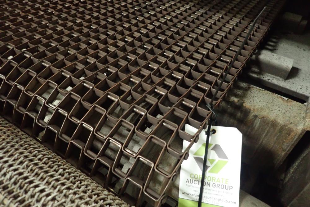 Babbco Direct Fired Tunnel Oven