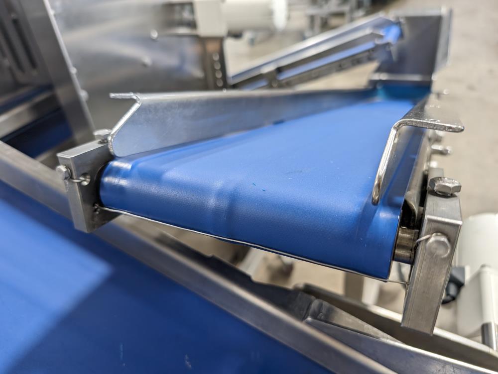 Quantum Conveyorized Topping Applicator with Reclaim Conveyor