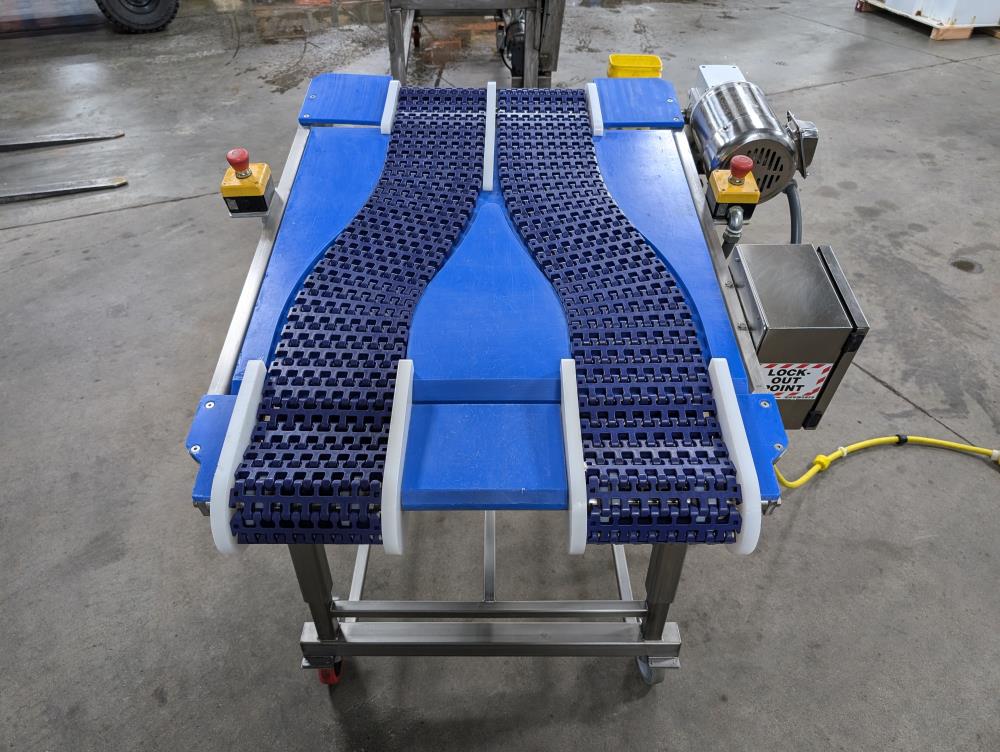 Dual Lane Conveyor