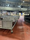 2021 Babbco 90 Ft. Direct Fired Tunnel Oven w/ Loader and Unloader